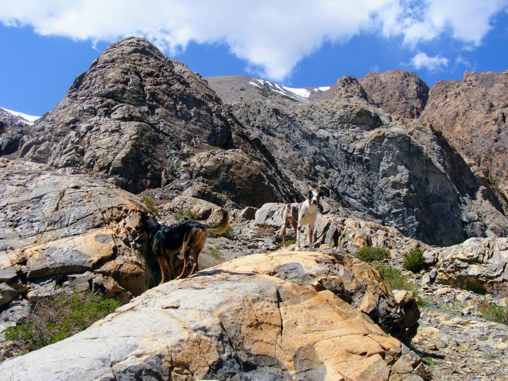 Virginia Lakes Trail - Don't Miss This Beautiful Sierra Nevada Hike ...