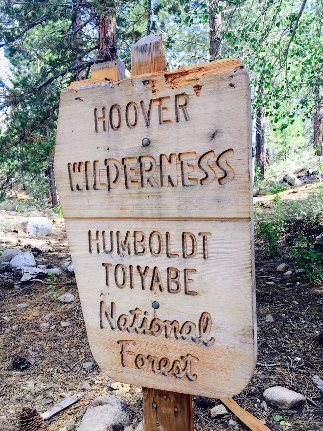 Virginia Lakes Trail - Don't Miss This Beautiful Sierra Nevada Hike ...
