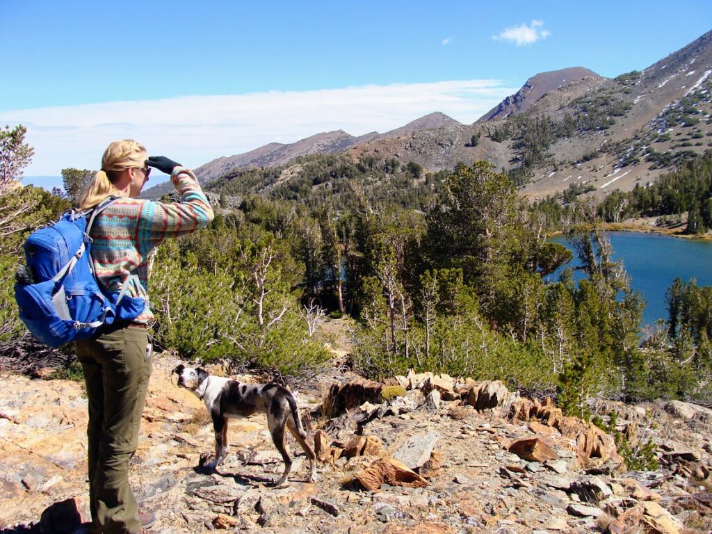 Virginia Lakes Trail - Don't Miss This Beautiful Sierra Nevada Hike ...