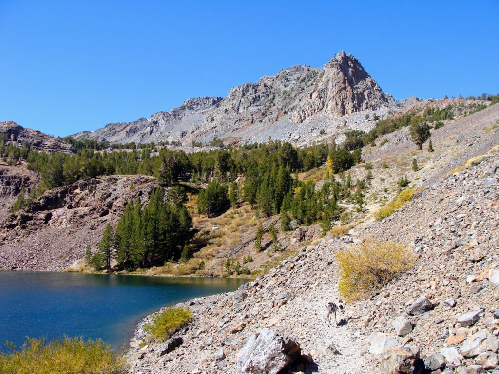 Virginia Lakes Trail - Don't Miss This Beautiful Sierra Nevada Hike ...