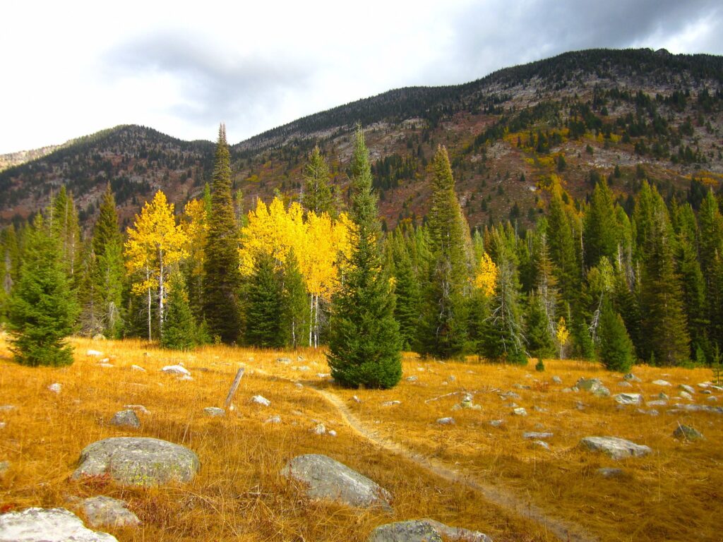 Best Hikes in Beautiful Payette National Forest, Idaho - Pine Coast Hiking