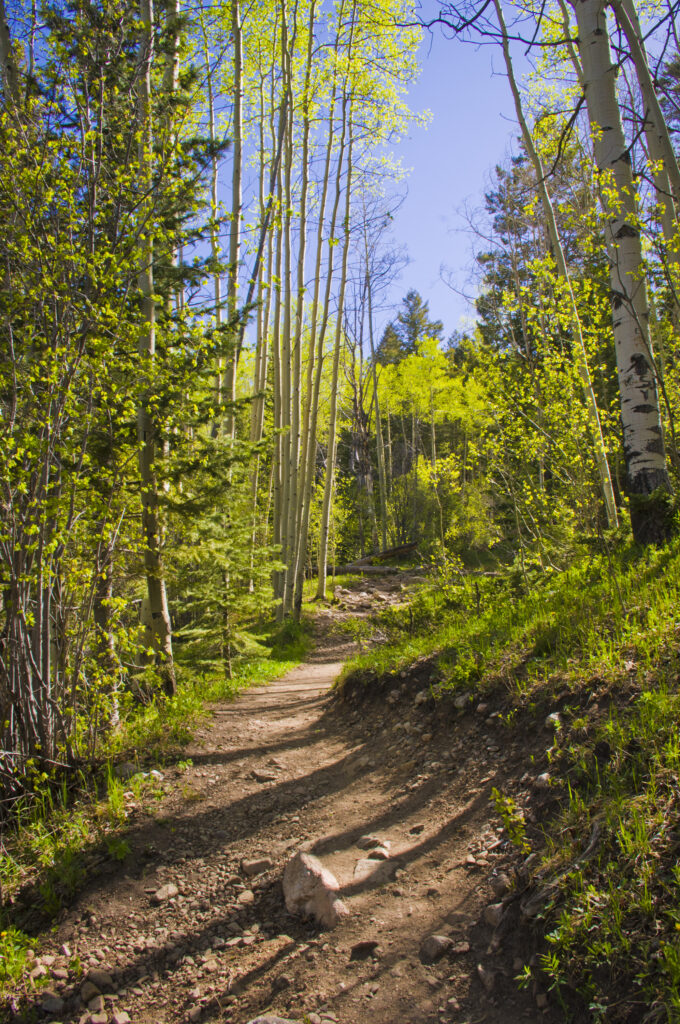 Best Hikes in Beautiful Santa Fe National Forest - Pine Coast Hiking