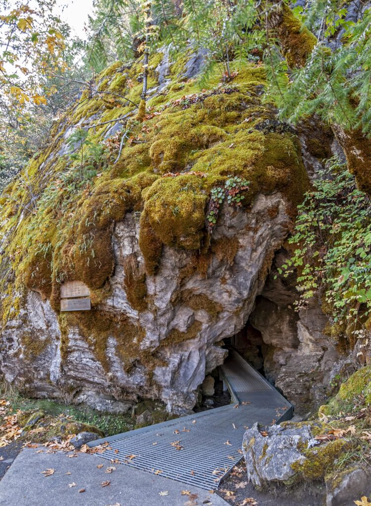 Best Hikes at Beautiful Oregon Caves National Monument - Pine Coast Hiking